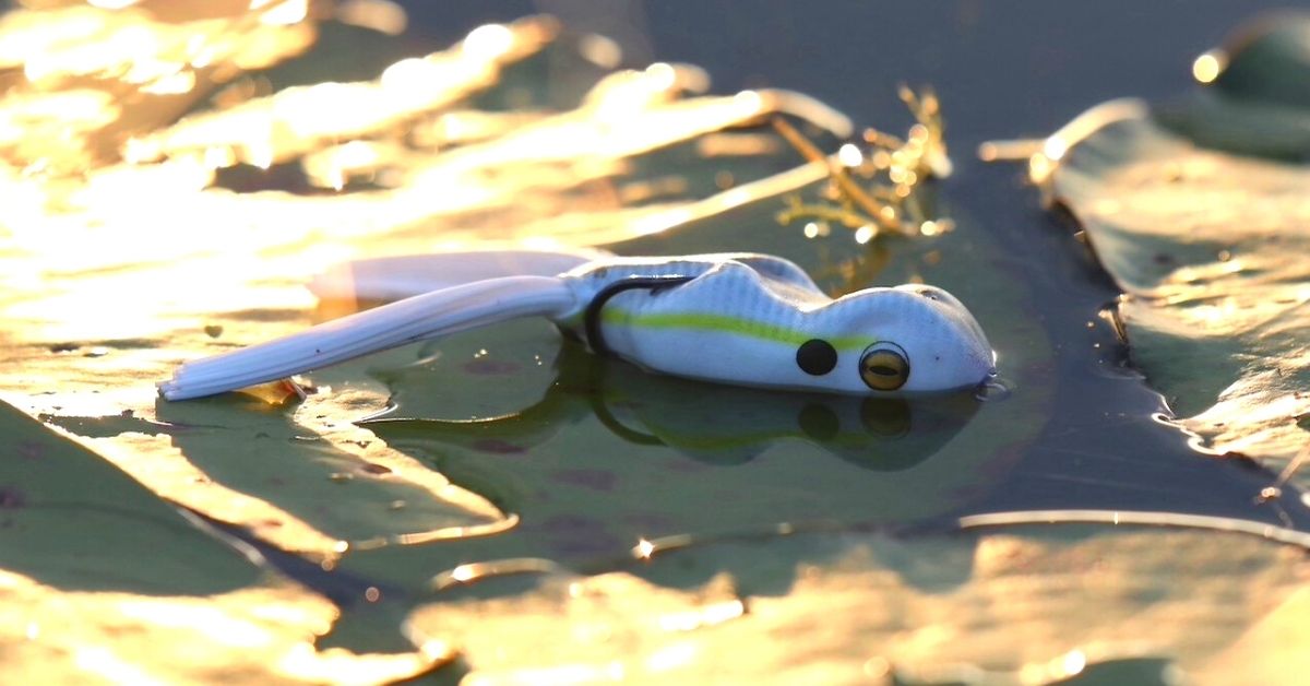 Scum Frog Painted Trophy Series (PTS) - Tacklestream